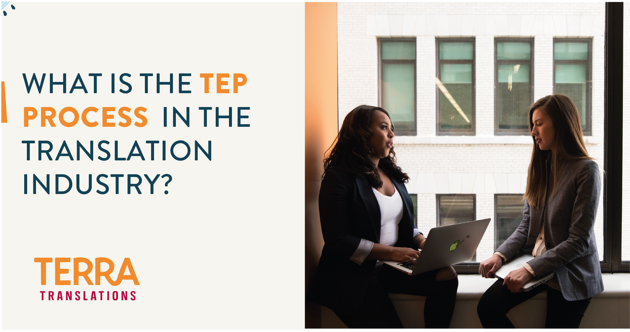 What is the TEP Process in the translation industry? - Terra
